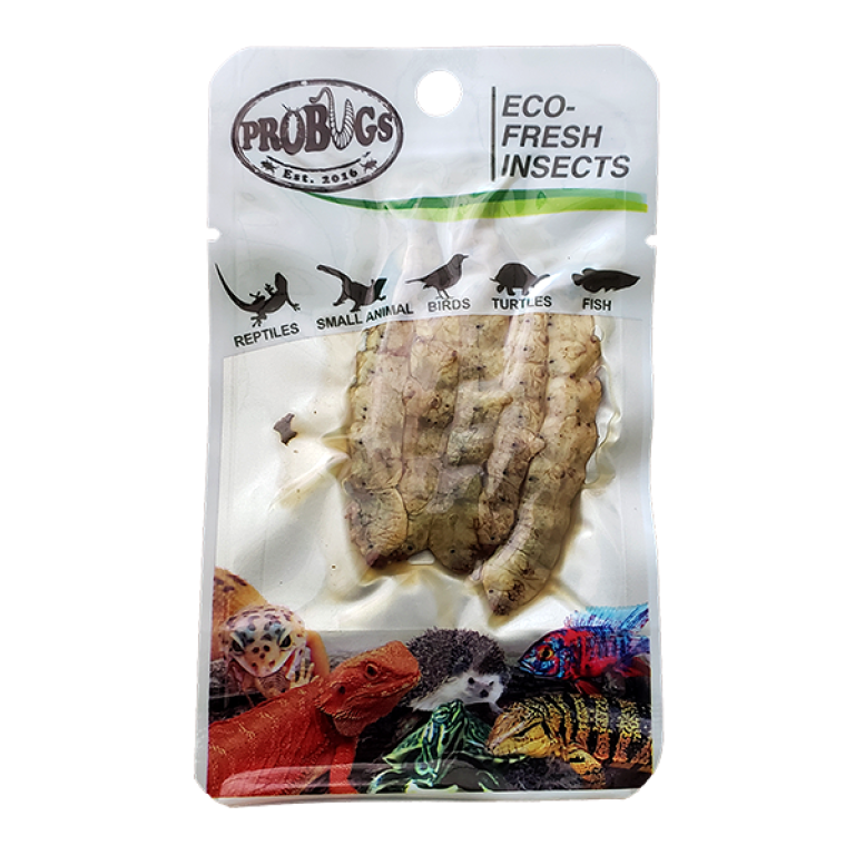 Packaged Insects - The Dragon Lair