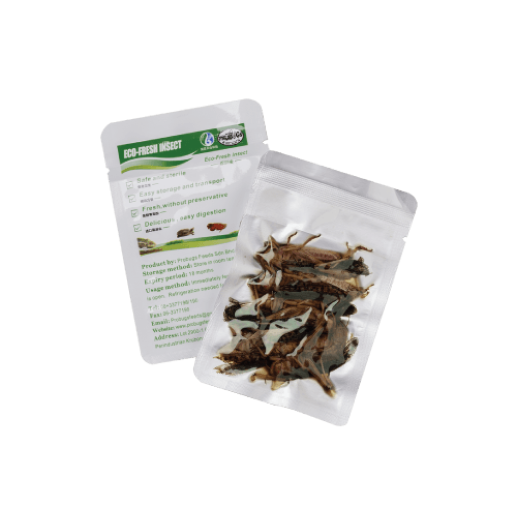 ProBugs Eco-Fresh Grasshoppers - The Dragon Lair