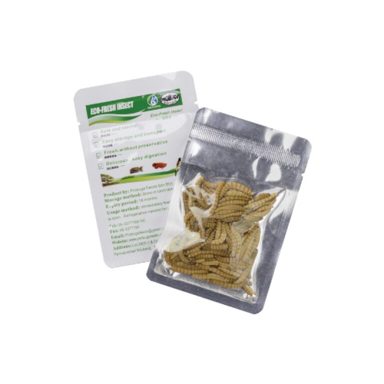 Packaged Insects - The Dragon Lair
