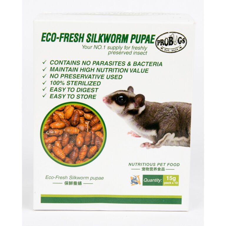 Packaged Insects - The Dragon Lair