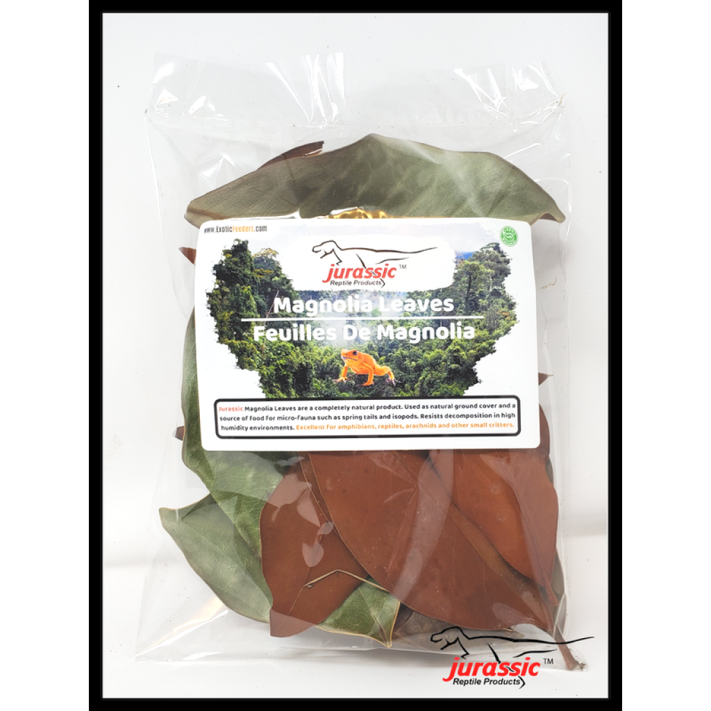 JRP Magnolia Leaf Litter - The Dragon Lair