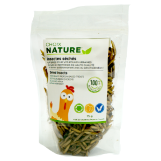 Packaged Insects - The Dragon Lair