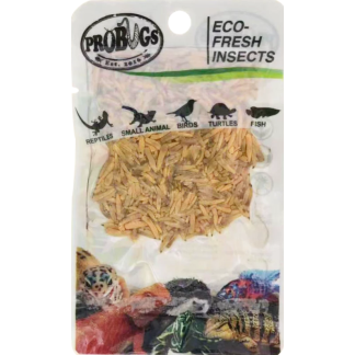 Packaged Insects - The Dragon Lair