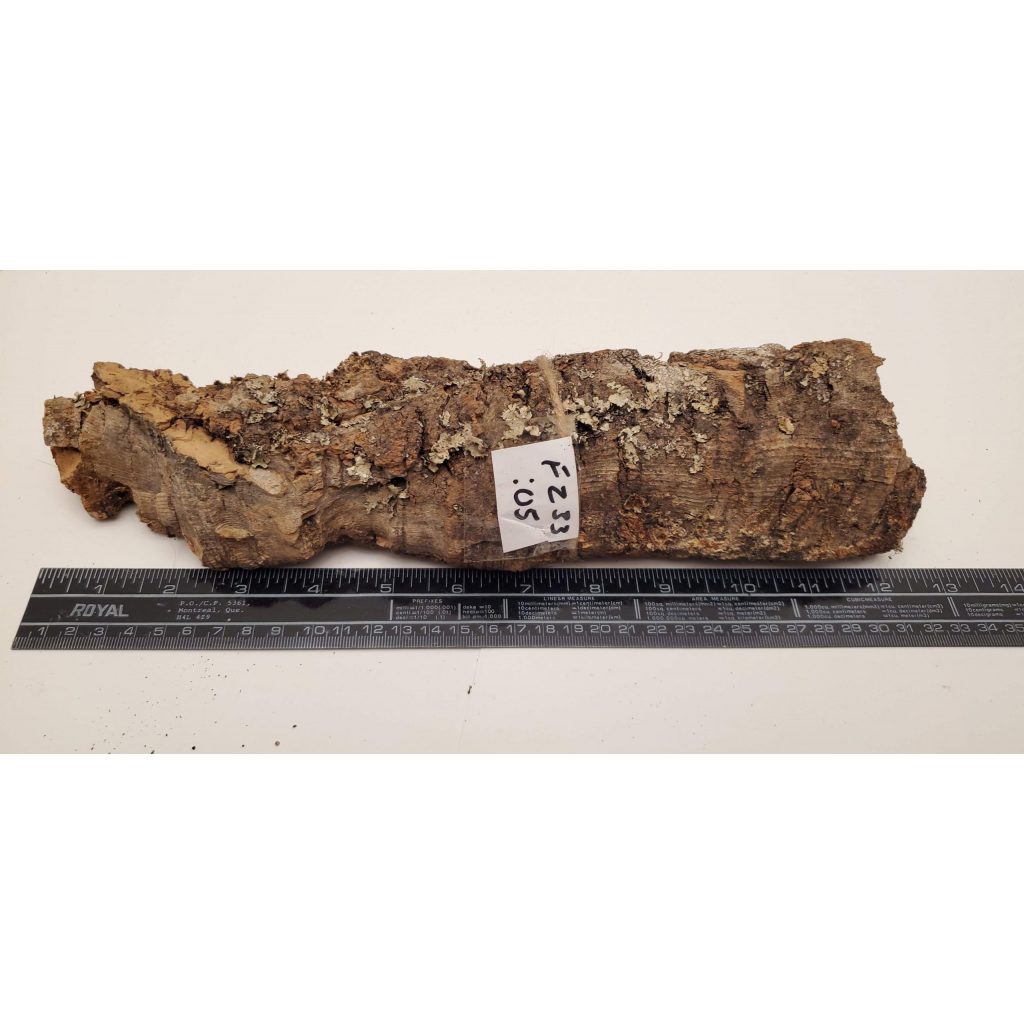Cork Bark - Flat F233 - The Dragon Lair
