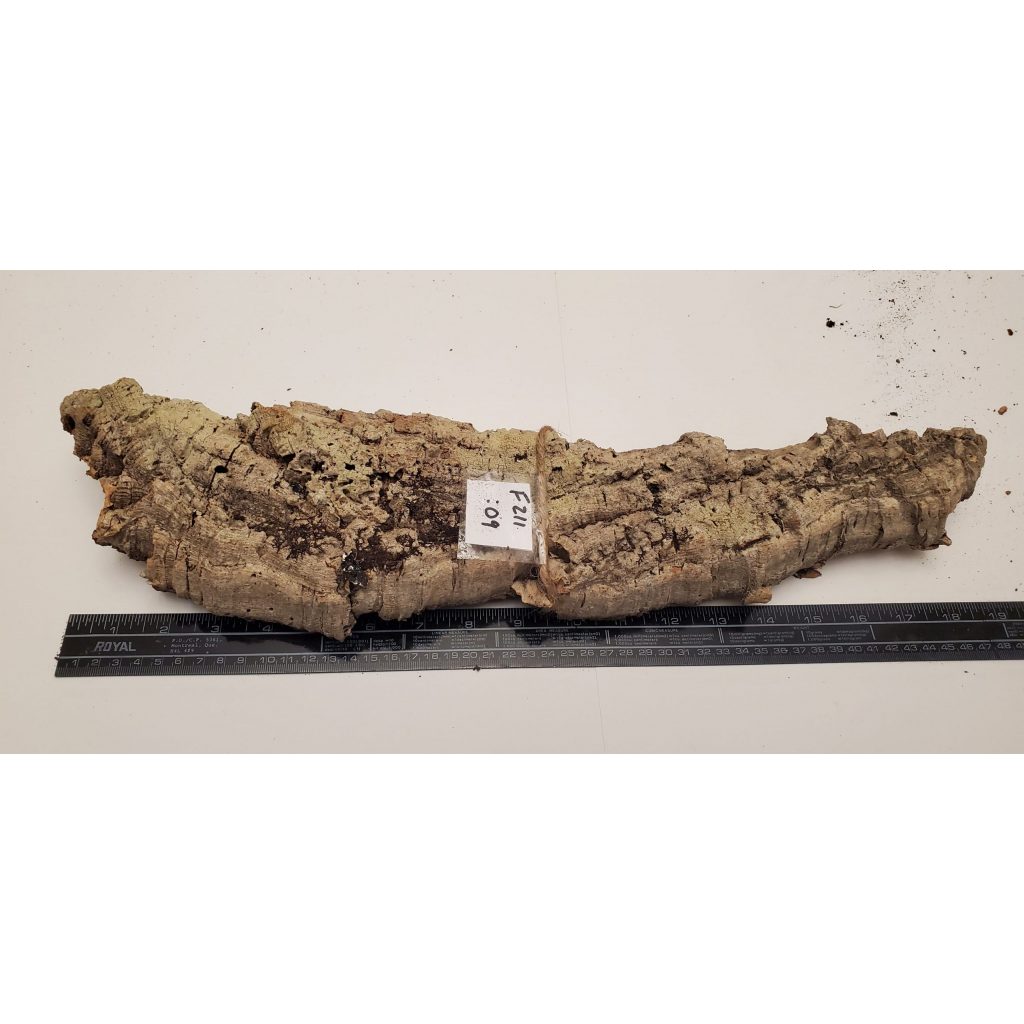 Cork Bark - Flat F211 - The Dragon Lair