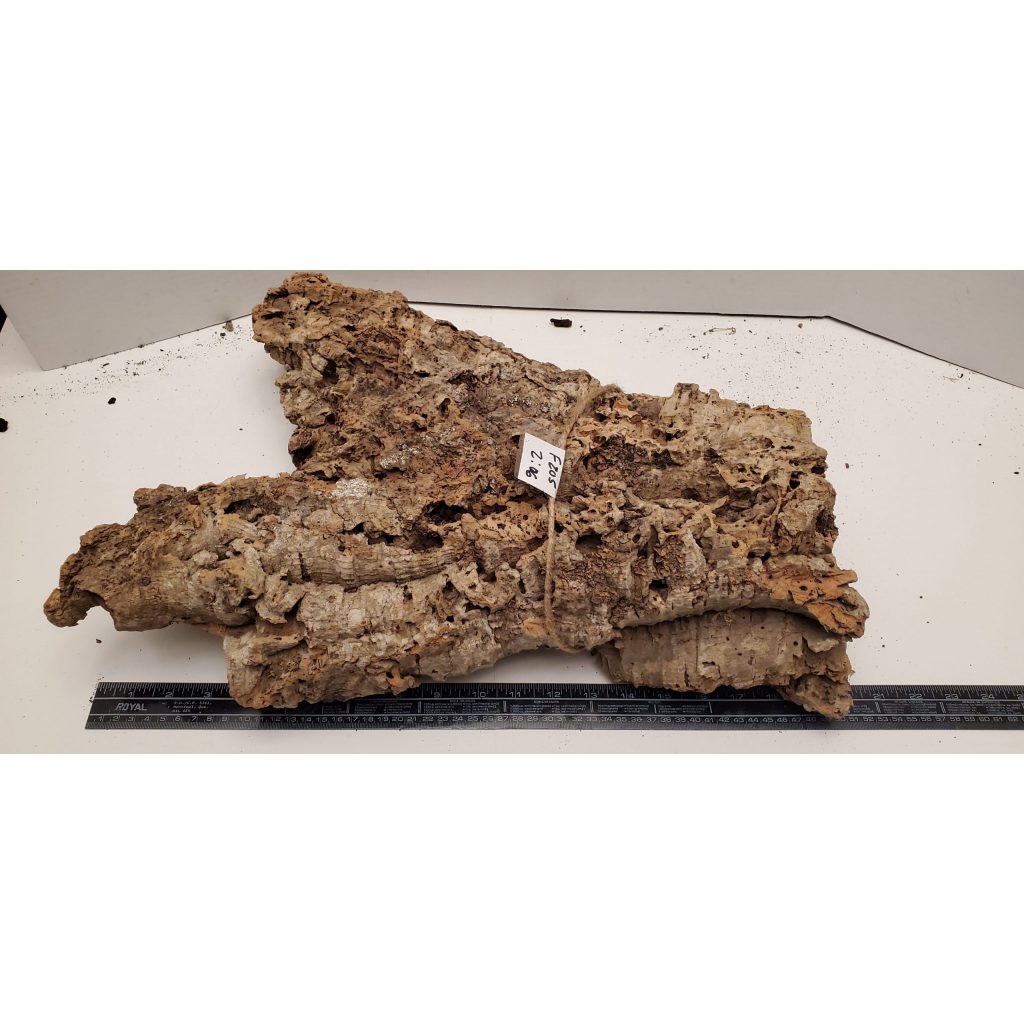 Cork Bark - Flat F205 - The Dragon Lair