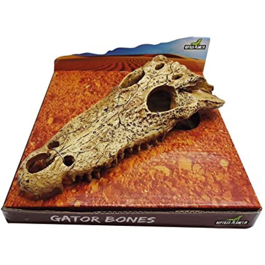RP Gator Bones - The Dragon Lair